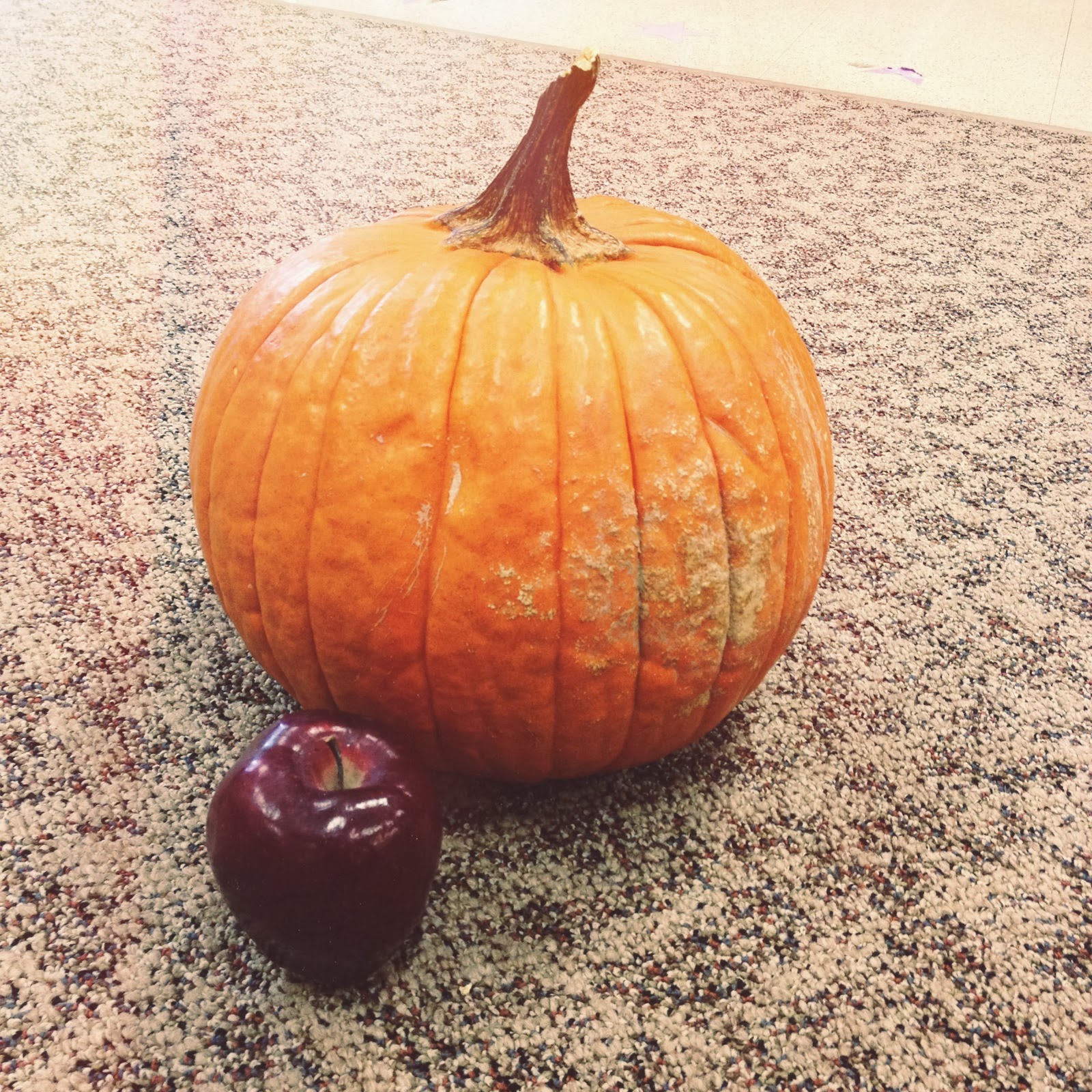 Simply Second Grade: Pumpkin Unit Photos {Part 1} Plus a pumpkin freebie!