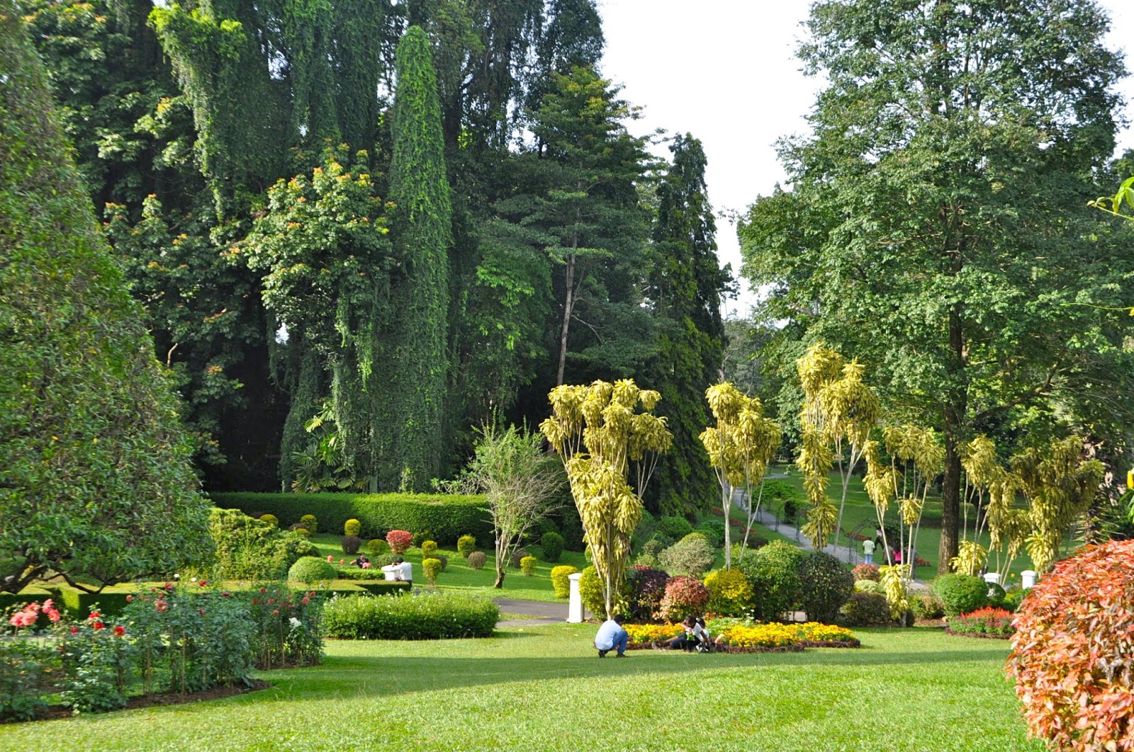 Peradeniya Botanical Garden