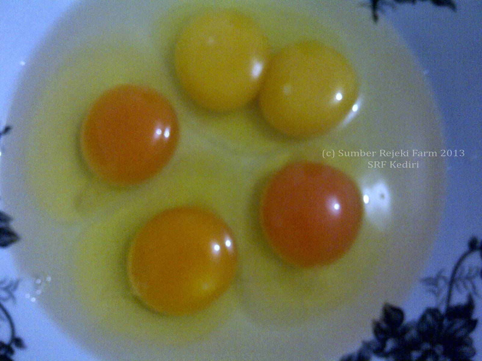 Indo Mulia Food: Telur Omega Warna Merah Untuk Ramen