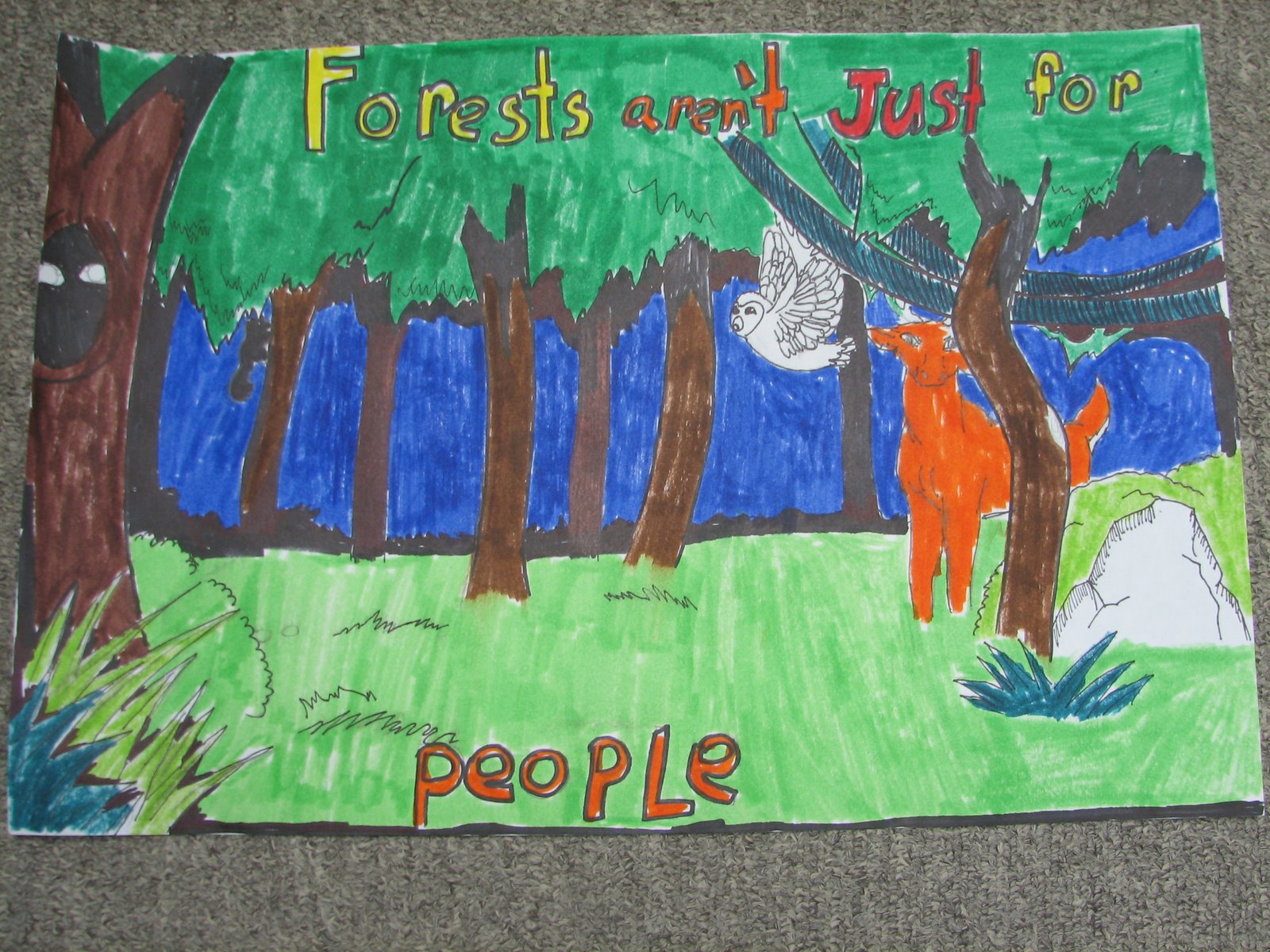 CHADRON MIDDLE SCHOOL: CMS Student is 2011 NACD Poster Contest State ...