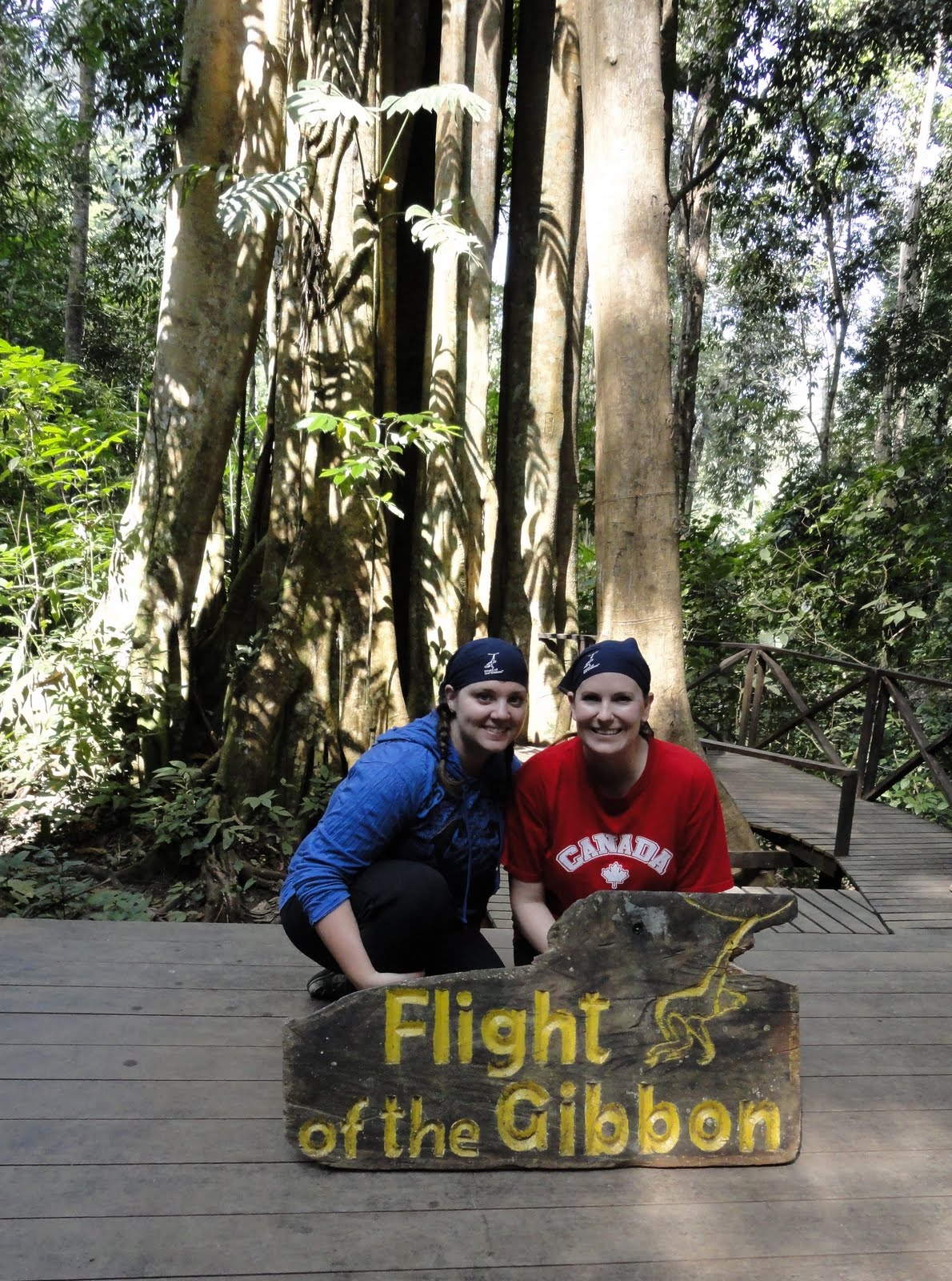 My Middle Eastern Adventure!: Flight of the Gibbon - Chiang Mai, Thailand