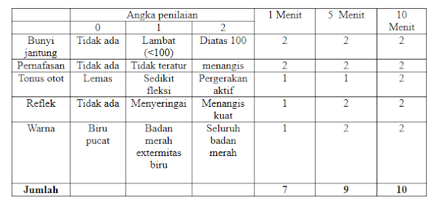 Penilaian Apgar Score Pada Bayi Baru Lahir Pdf