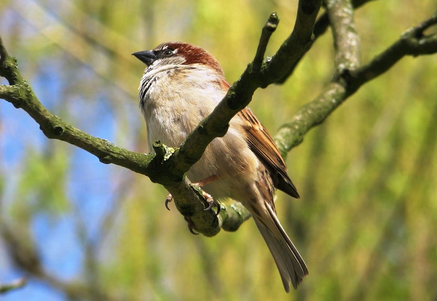GEMENGDE BERICHTEN: juni 2016