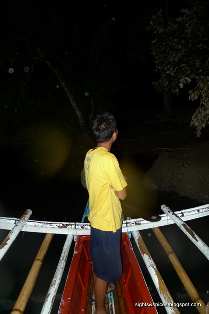 Sights and Spices: Sights: The Most Awesome Natural Encounter in ...