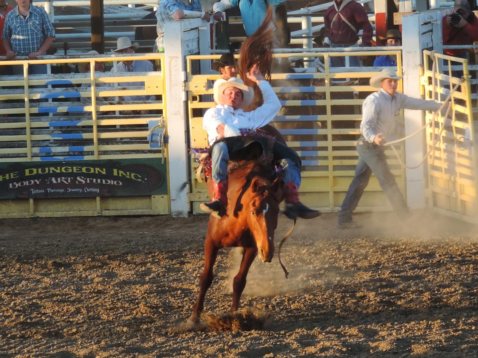 Babbling Brooke Gazette: It Only Takes Eight Seconds