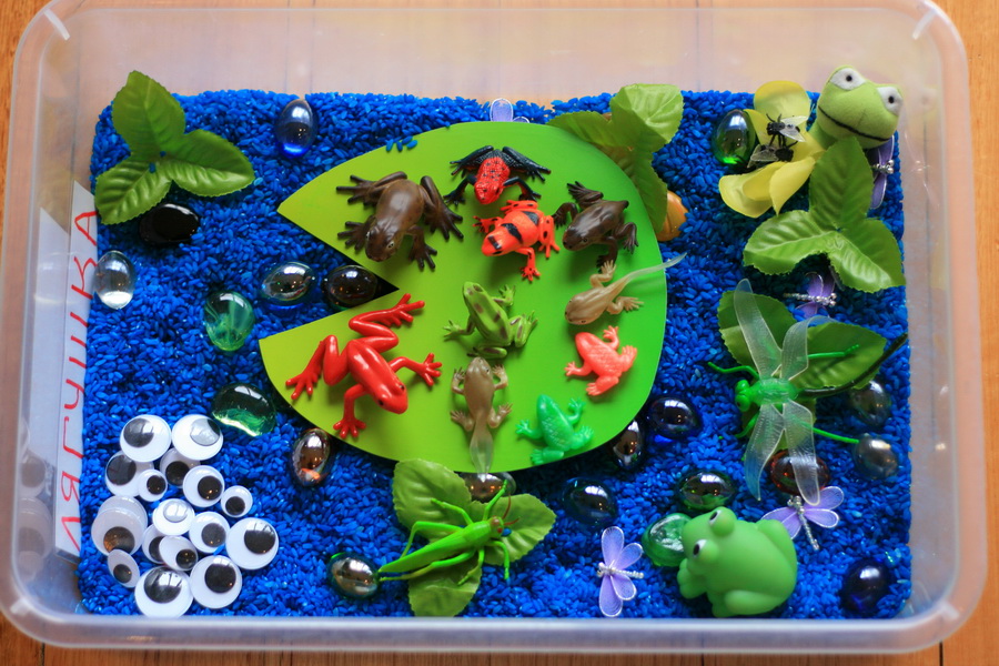 Live and play: Life Cycle of a Frog Sensory Play