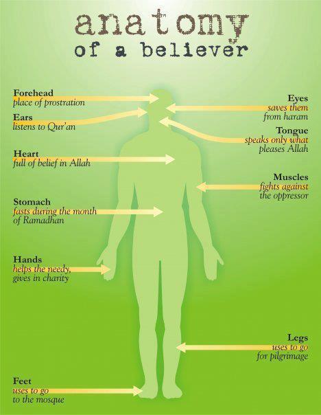 DOMINICAN MUSLIM AWARENESS