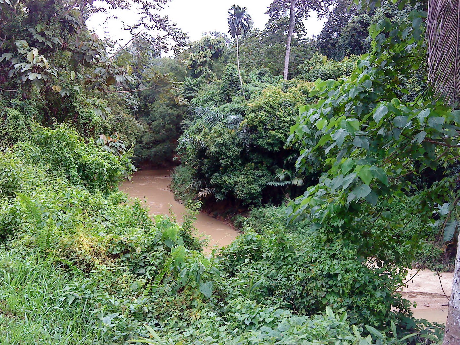 Sakura Berbunga Lagi ....: KUNJUNGAN KE JOHOL, NEGERI SEMBILAN