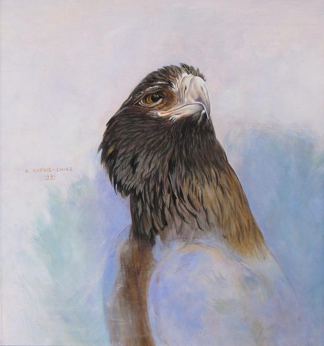 womblegrinchgrumblerbooks: Raymond Ching painting at Woolley & Wallis ...