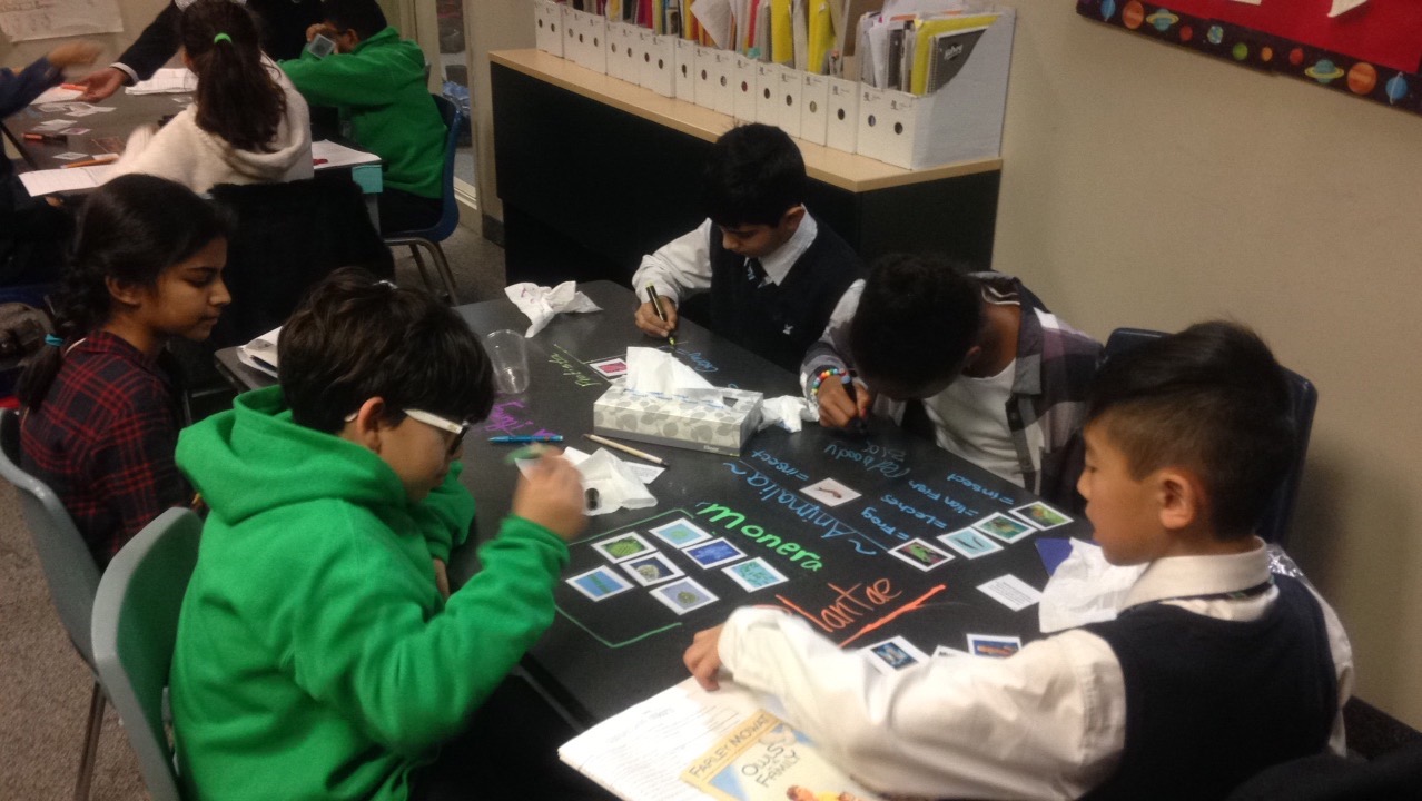 Ms.Khan's Classroom: Frenzy Friday