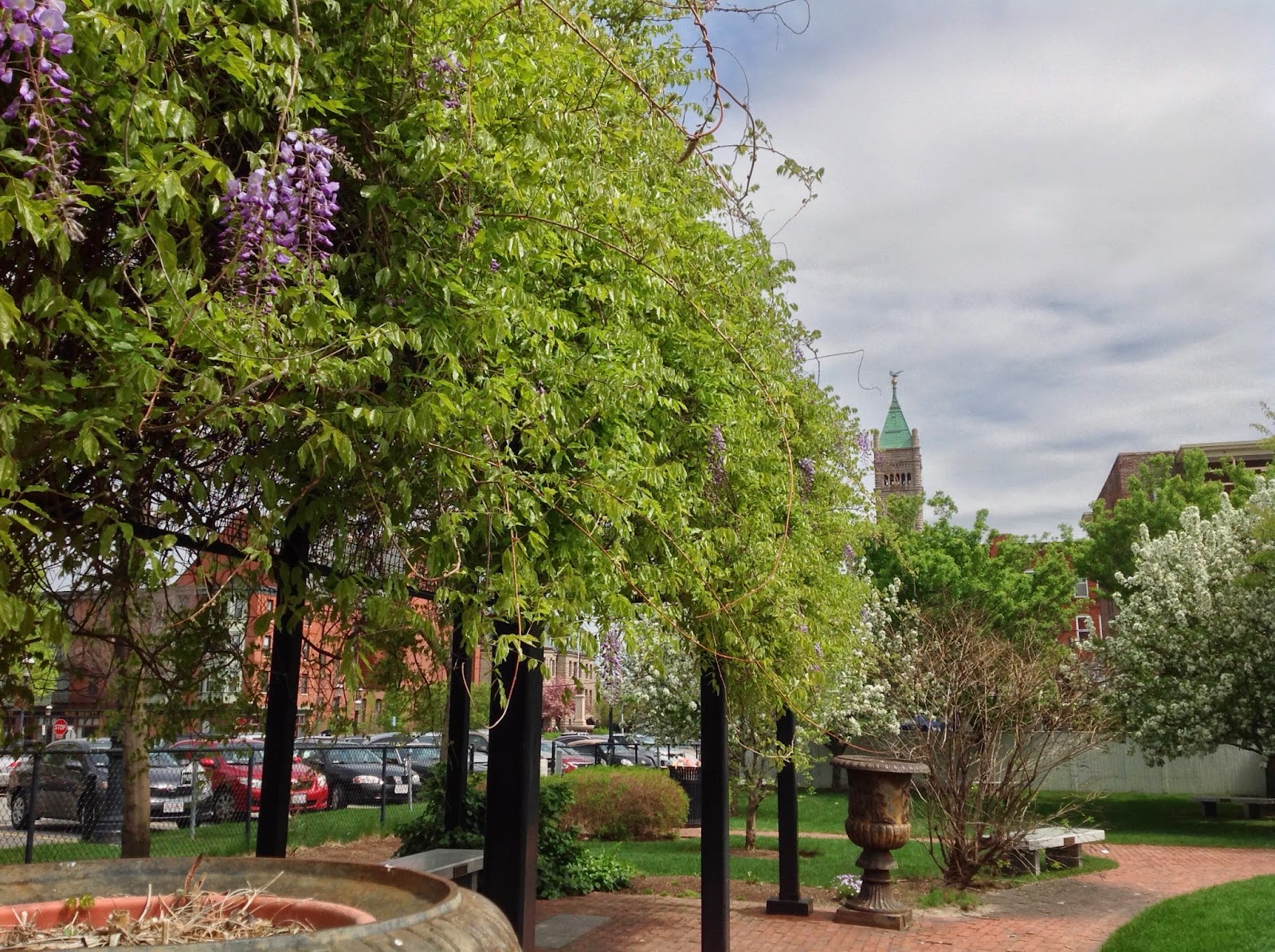 Life From The Roots: The First Demoulas Market Basket in Lowell ...
