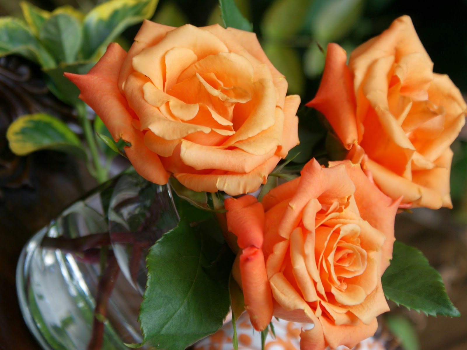 A Little Loveliness: Welcoming Fall