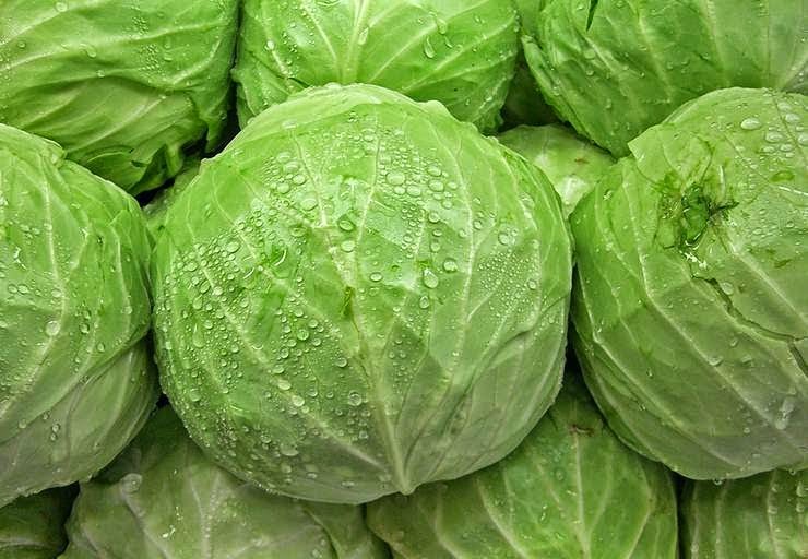 Koran-7: Kubis dan Manfaat nya