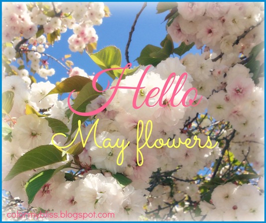 Color My Bliss: Hello May Flowers - Happy May Day!