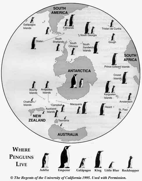 information about penguins - General Knowledge