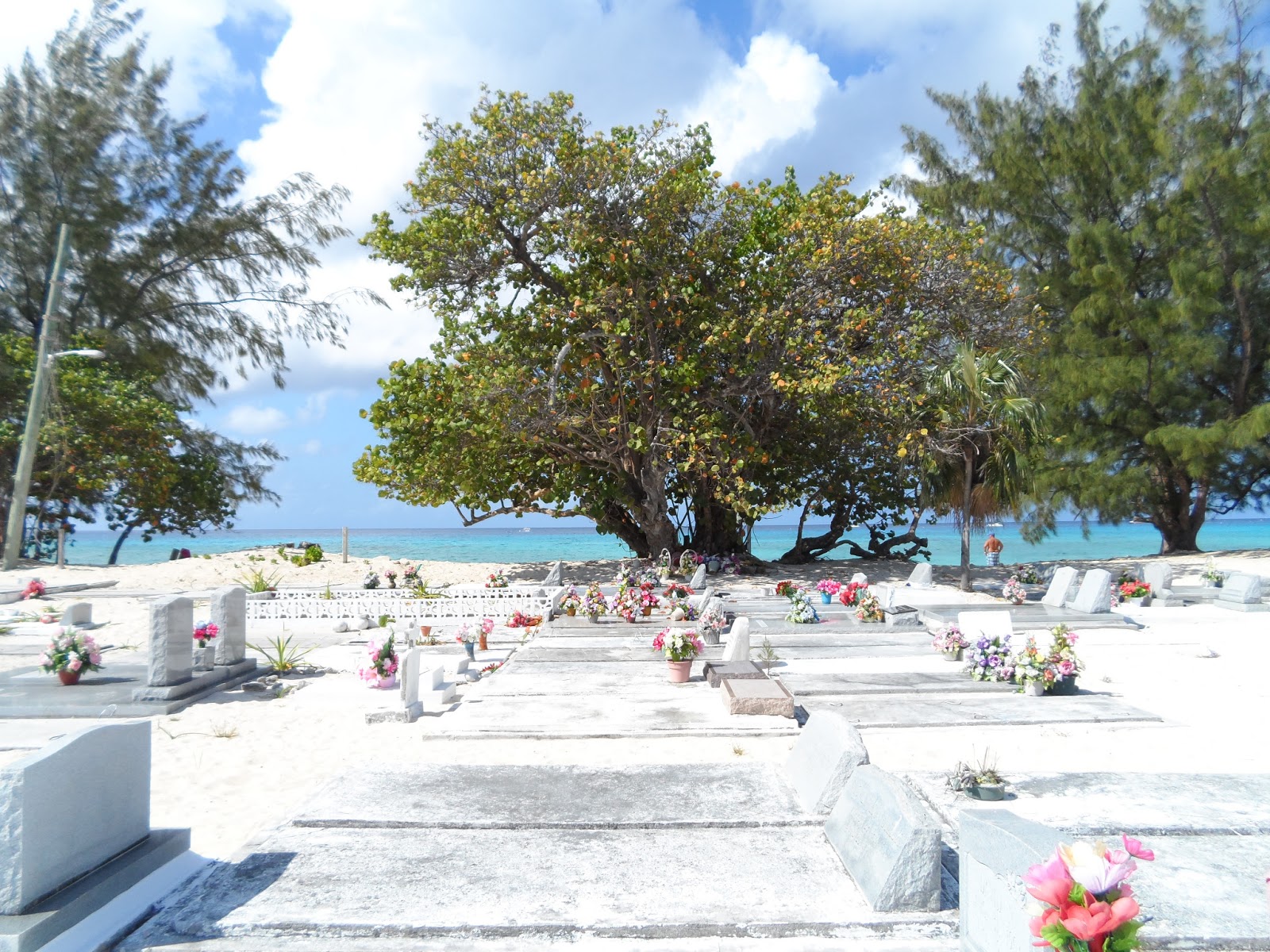 “To travel is to live.” - Hans Christian: Cemetery Beach Grand Cayman