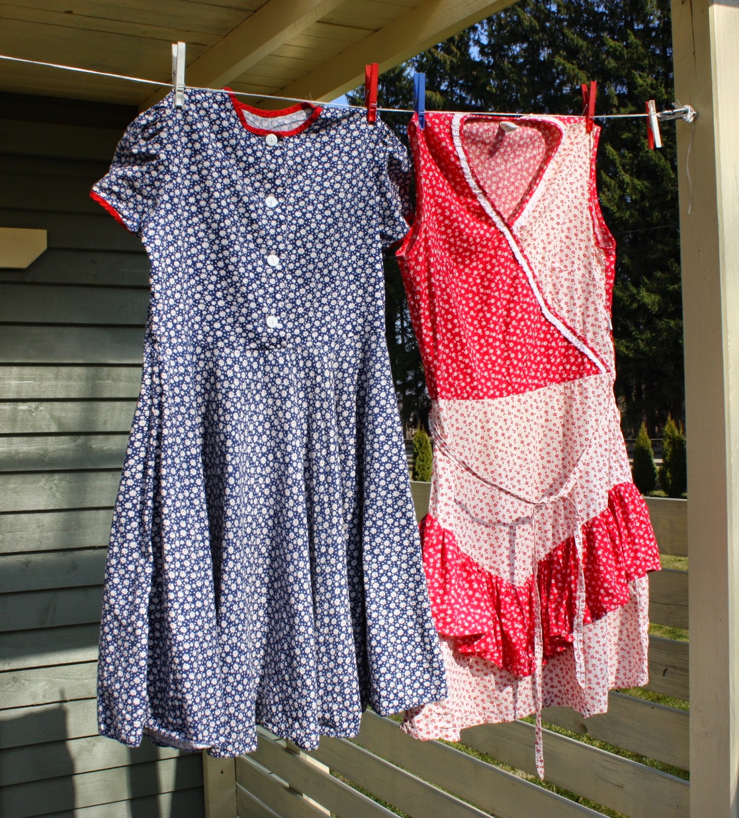 Sinise-punasekirju lapiseelik - KAIRITEEB