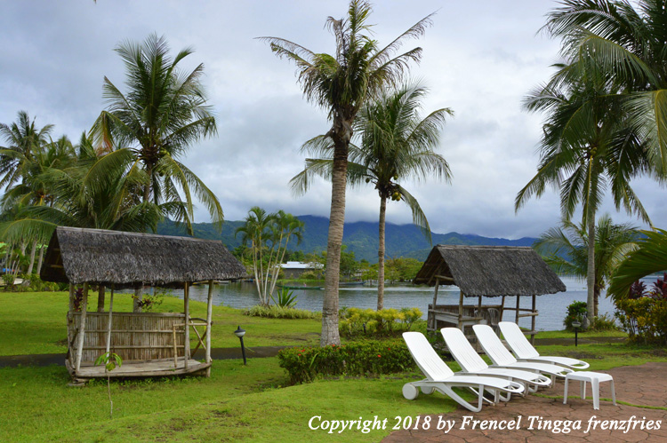 Frenz Fries: Lake Buhi Resort