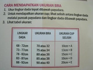 1: 10 artis dgn ukuran bra terbesar