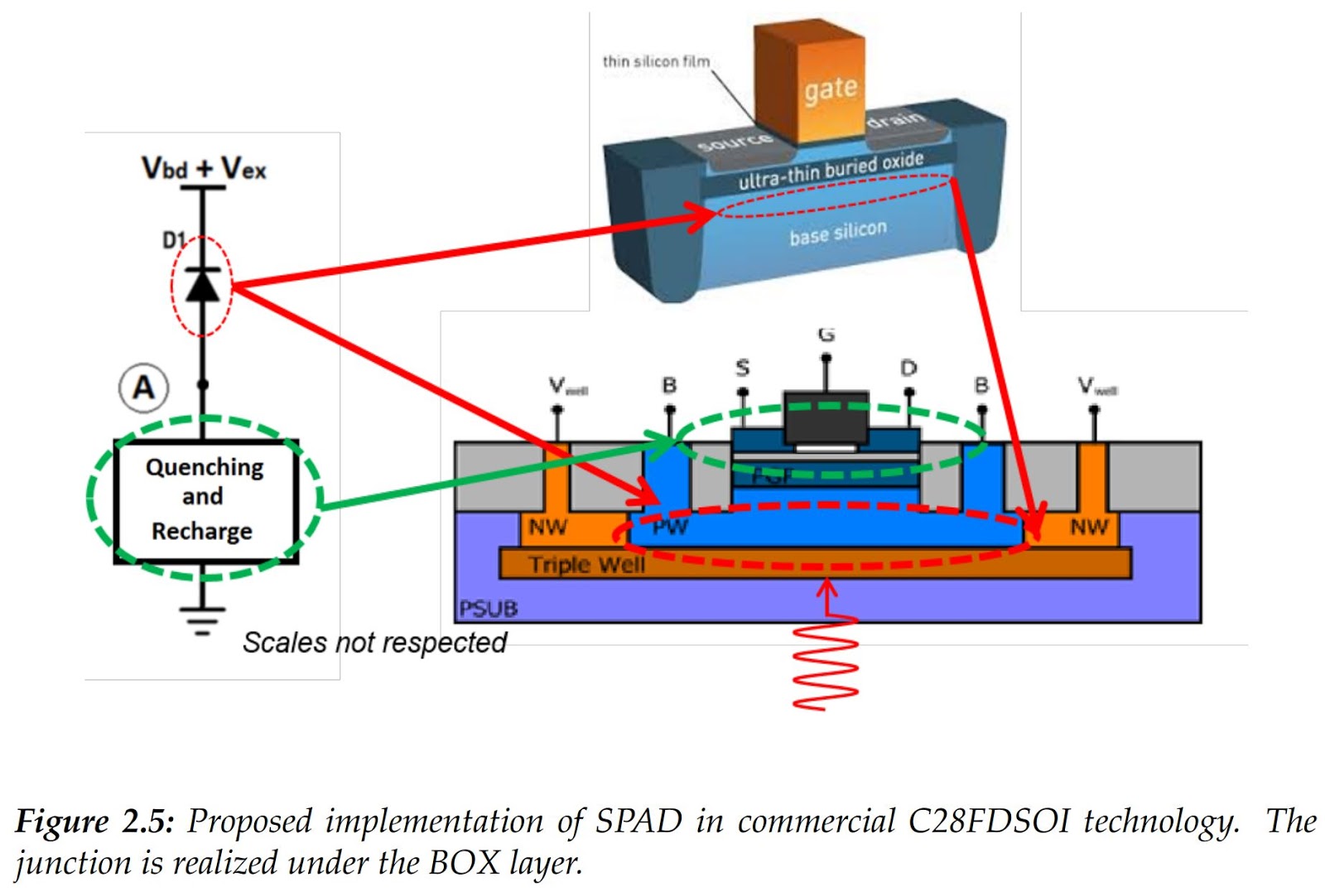 Image Sensors World: Thesis on SPAD Integration into 28nm SOI Process