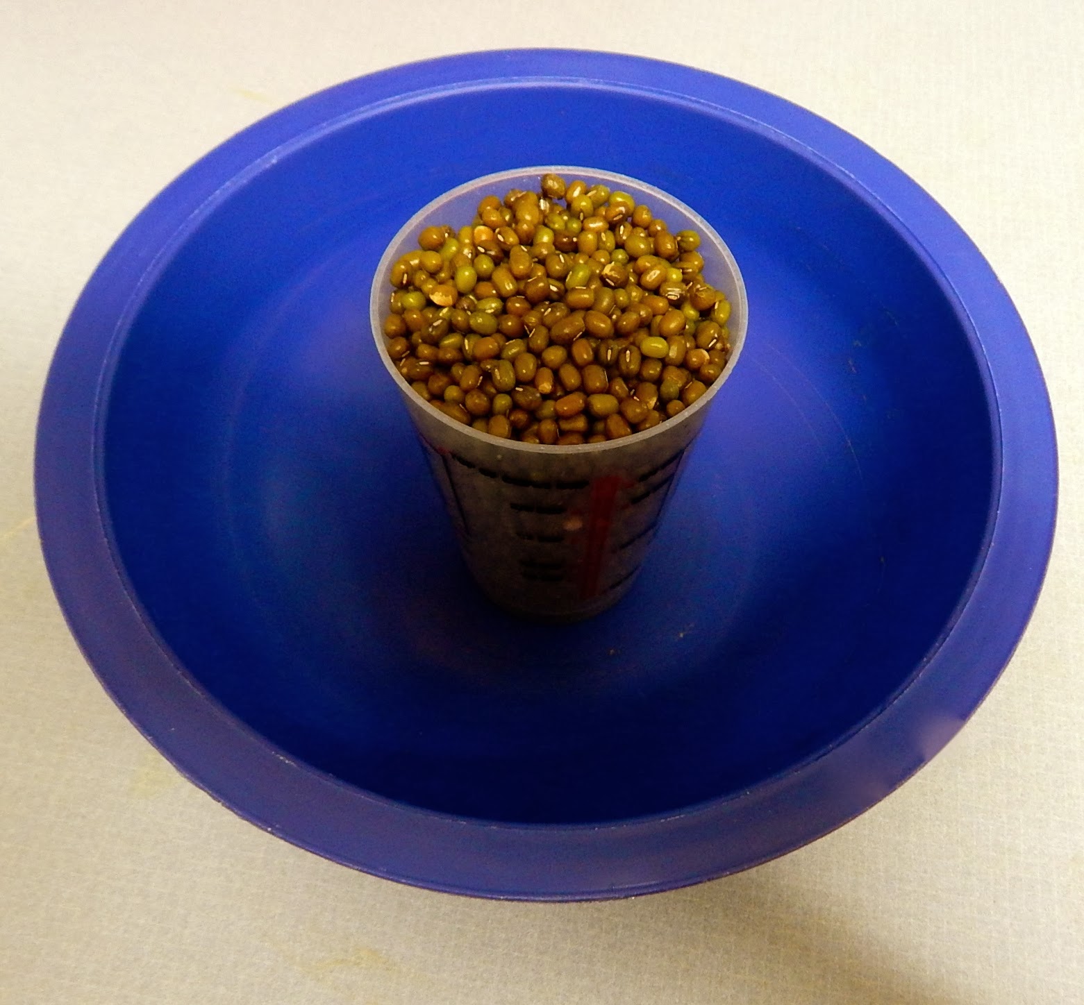 Palatable dishes from Jess's kitchen :) : Moong Dal/ green gram/cheru ...