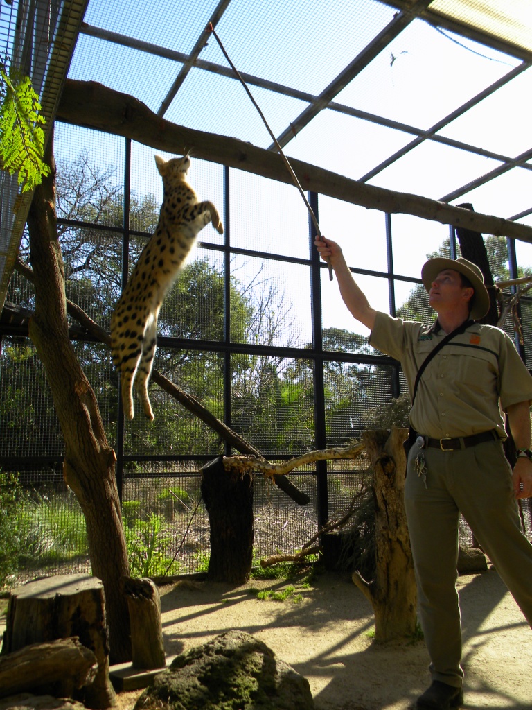 Every Bed of Roses: A day time trip to the zoo.