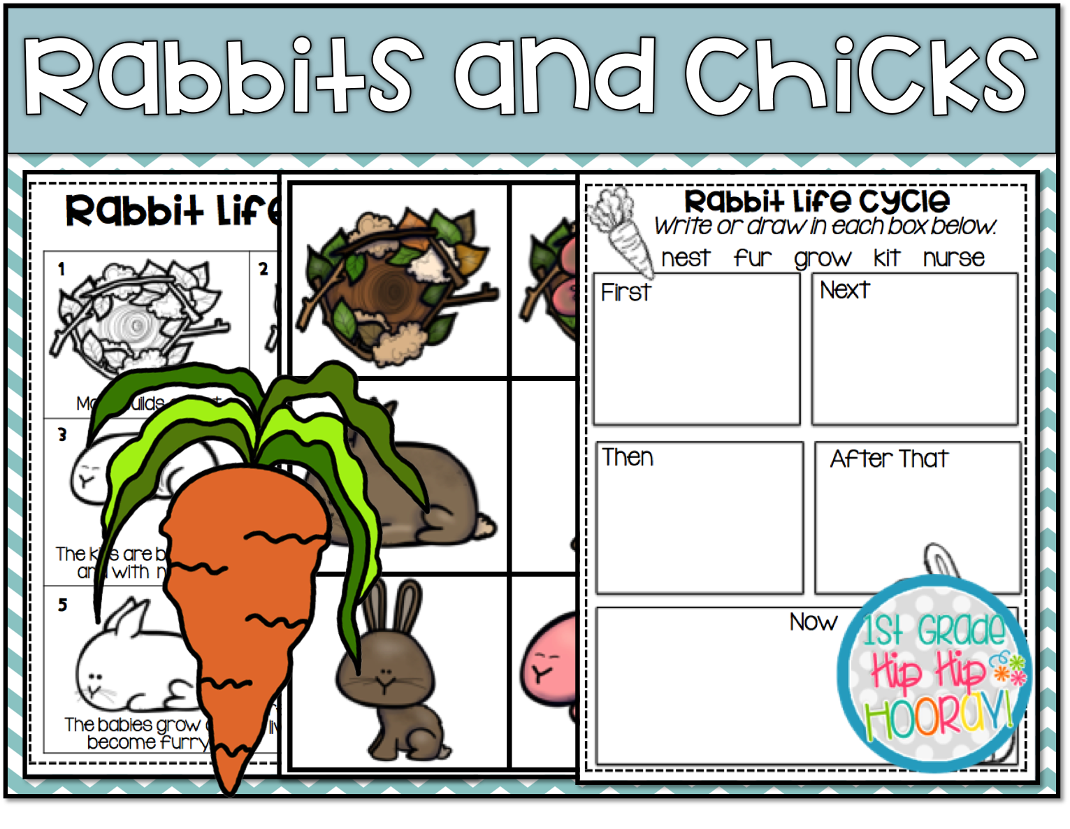 1st Grade Hip Hip Hooray!: Chicks and Bunnies...Informational Text ...