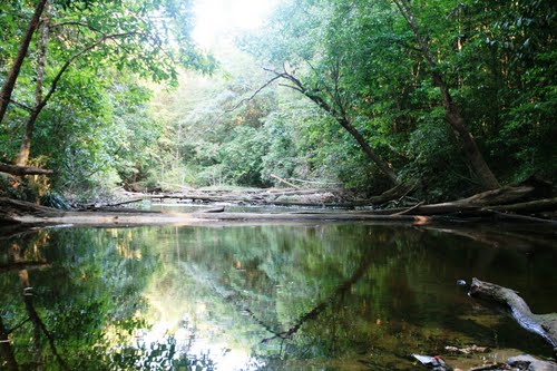 Big Blue 1840-1940: Inini