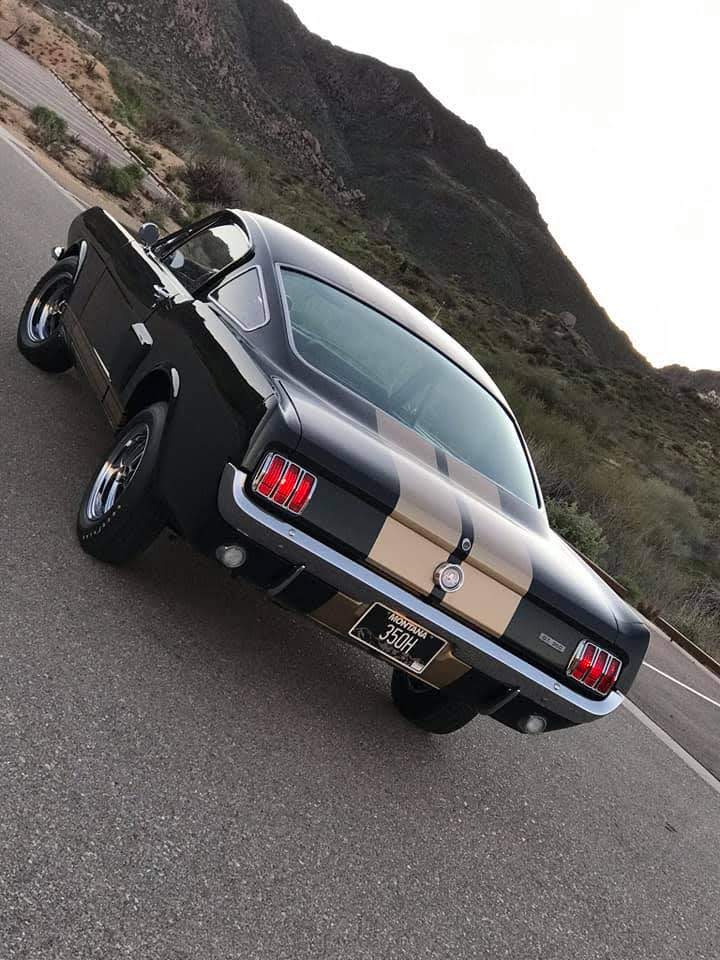 Virginia Classic Mustang Blog: 1966 GT350H Shelby Hertz