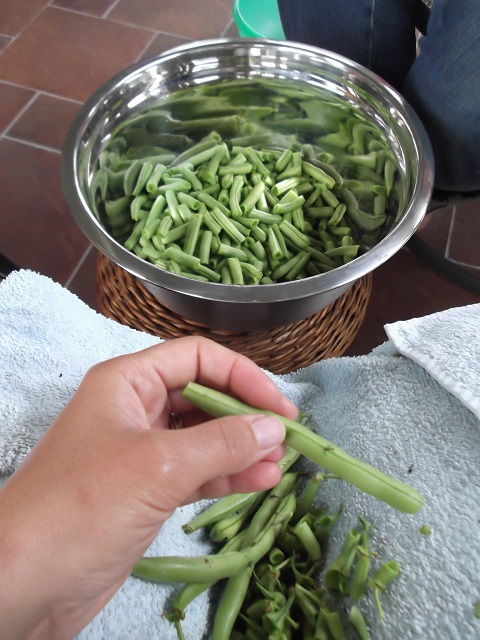 The Homestead, Foodie, Farmer Manifesto: Breaking Bread...and Beans