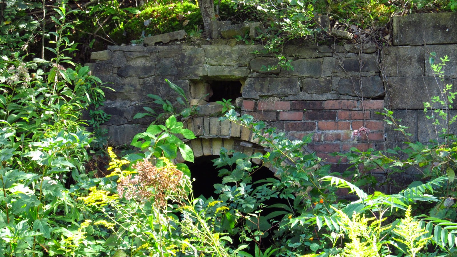 Old Industry of Southwestern Pennsylvania : Sewickley Branch Of The ...