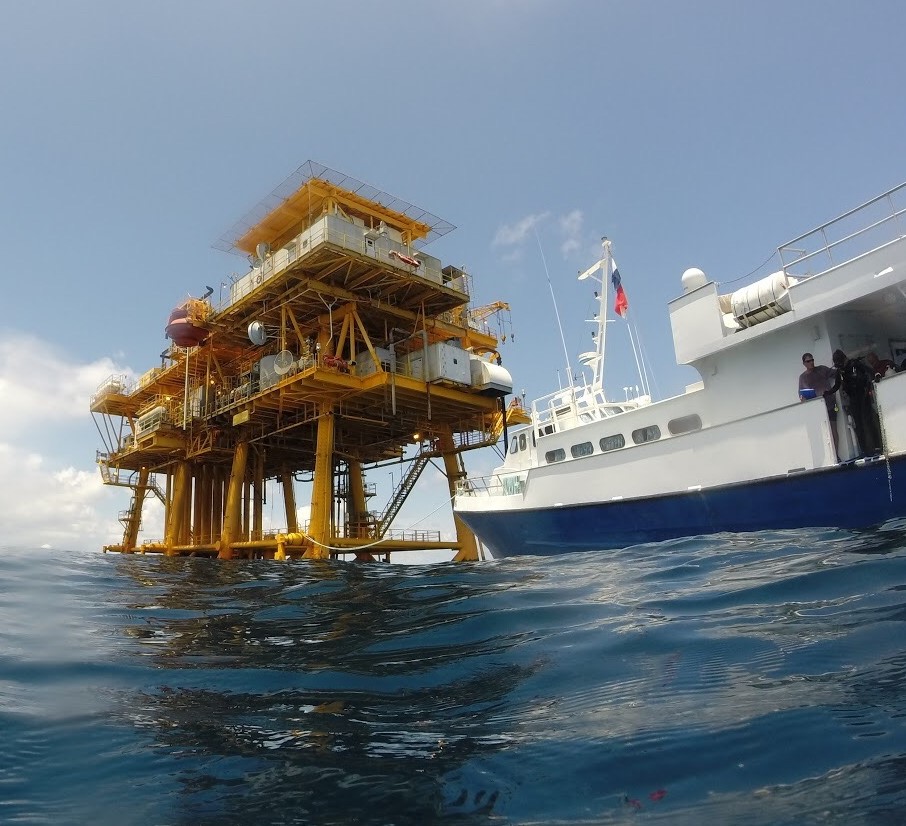 SurfWriter Girls: Rigs to Reefs - A Work in Progress