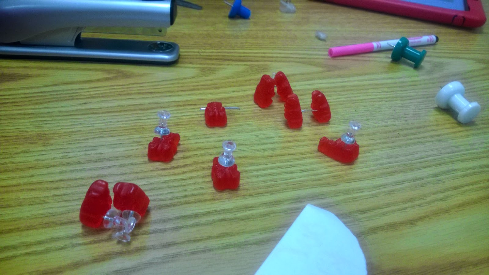 A View of the Web: Gummy Governments