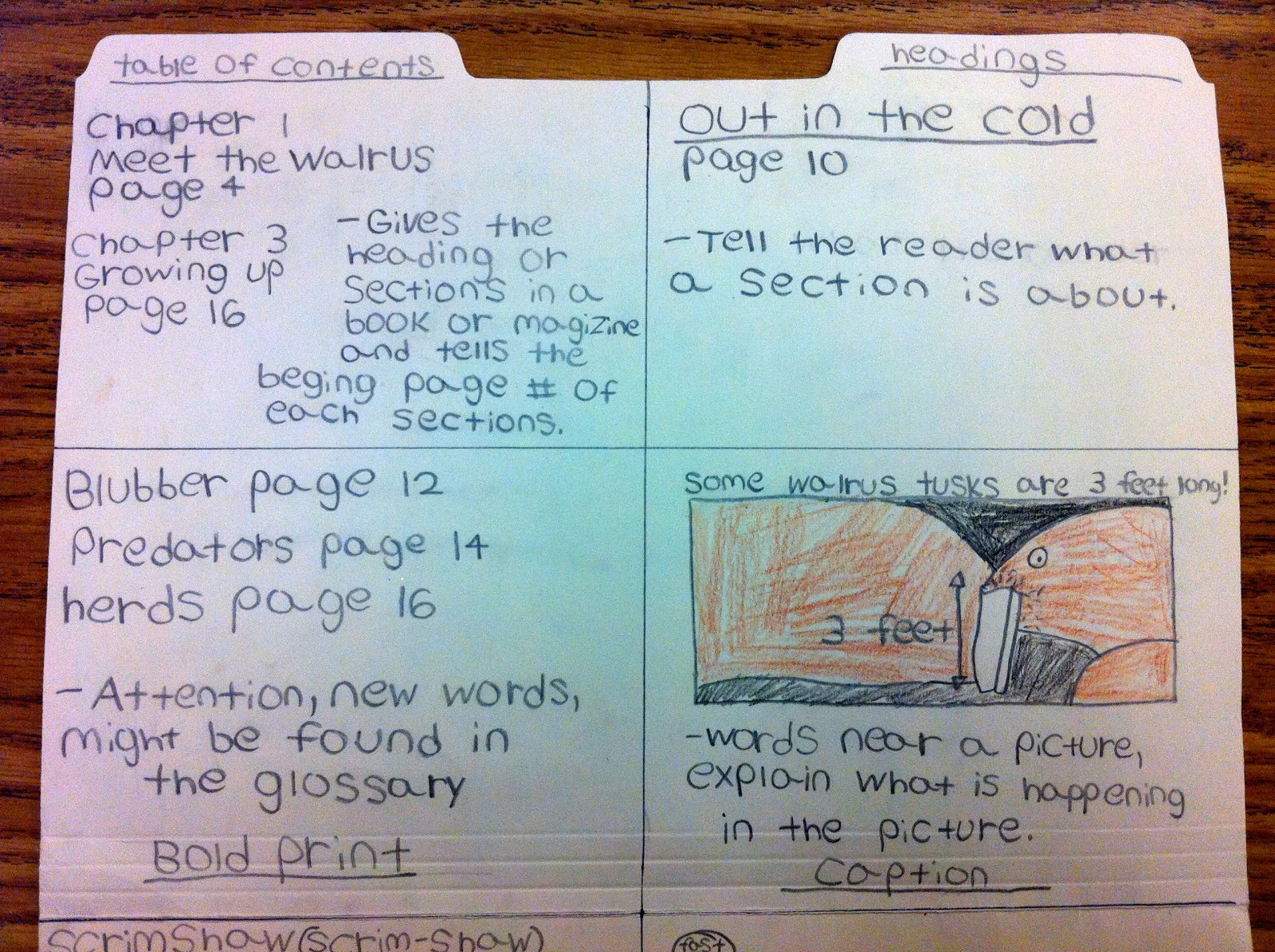 Non-Fiction File Folder Project - Elementary Antics