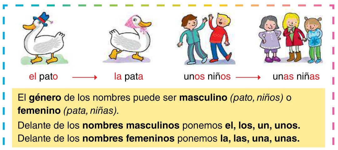 Rodríguez Marín 2º de Primaria: LENGUA UD8 "EL GÉNERO" Y "EL NÚMERO"