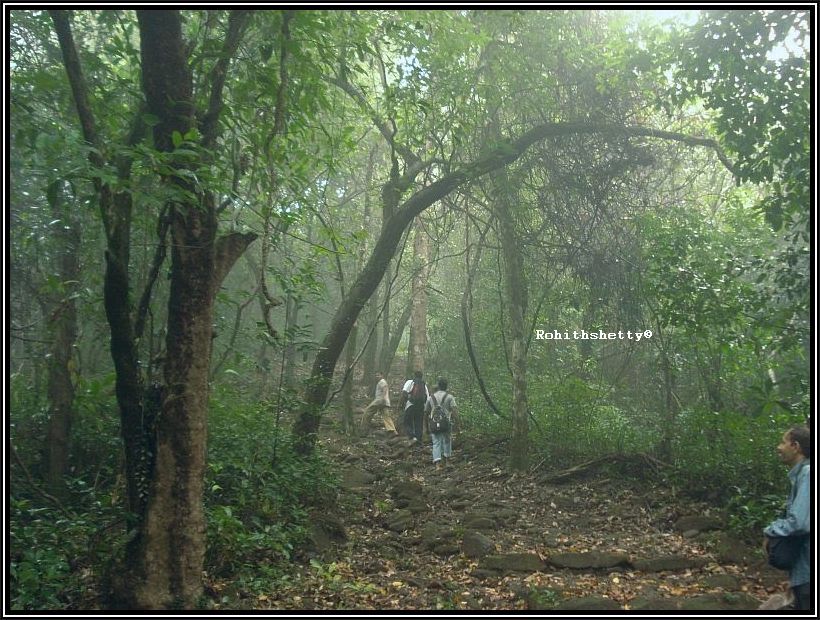 JOURNEY INTO DREAMS: Vali Kunja Hills