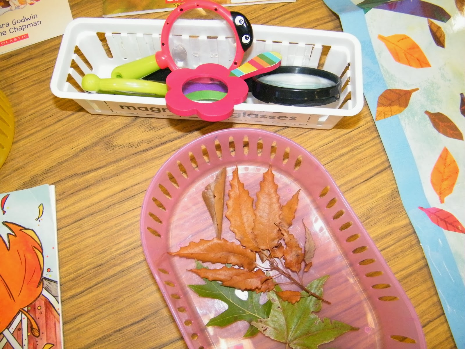 Adventures With Firsties: Leaves, Leaves, and more Leaves!