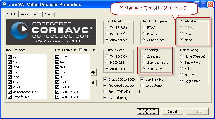 Link: 다음팟플레이어에서 원활한 동영상 재생을 위해 CoreAVC 설정하기