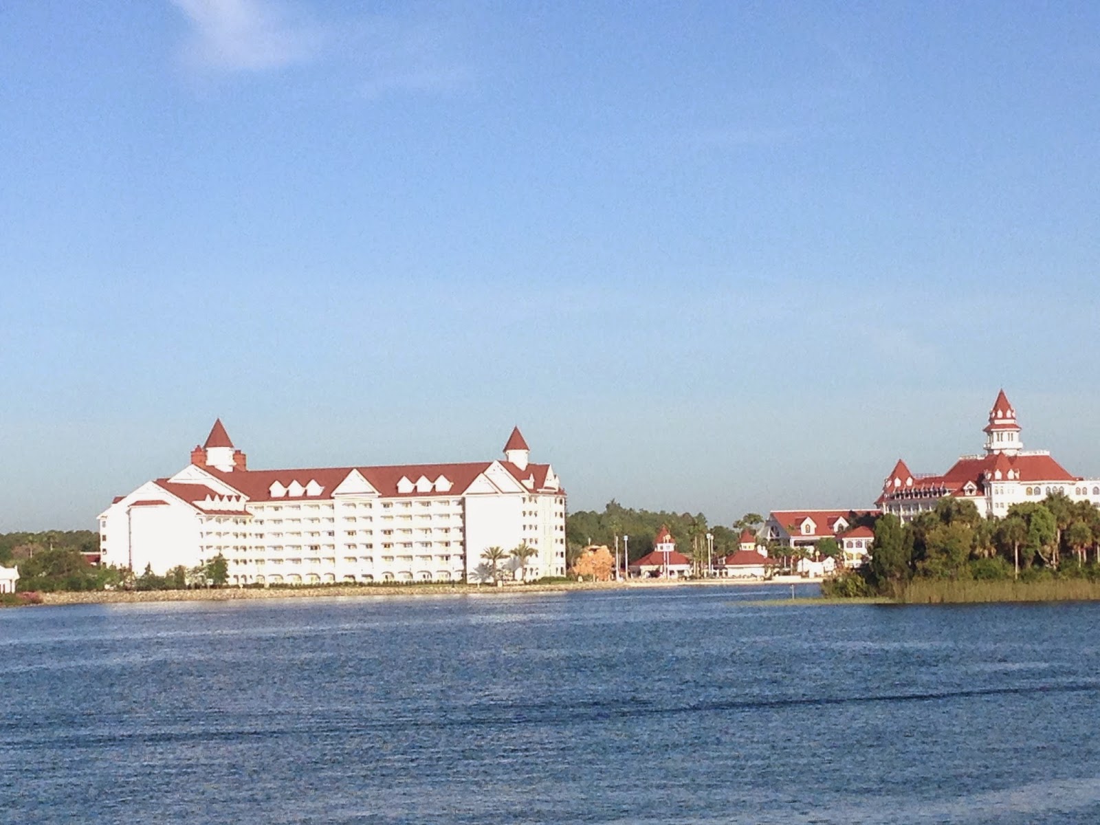 America: A Well Organized Place: Walt Disney Island