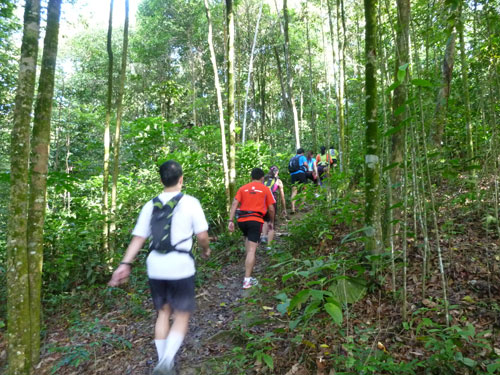 KC & the Sunshine Runners: Bukit Kiara @ TTDI Trail Running