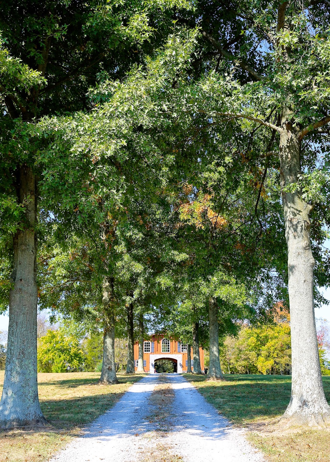 Sweet Southern Days: Scenic Backroads of Rural Kentucky