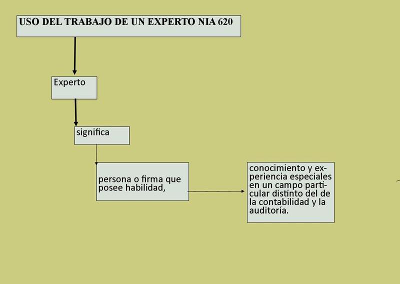 AUDITORIA II: NIA 600, 610 Y 620