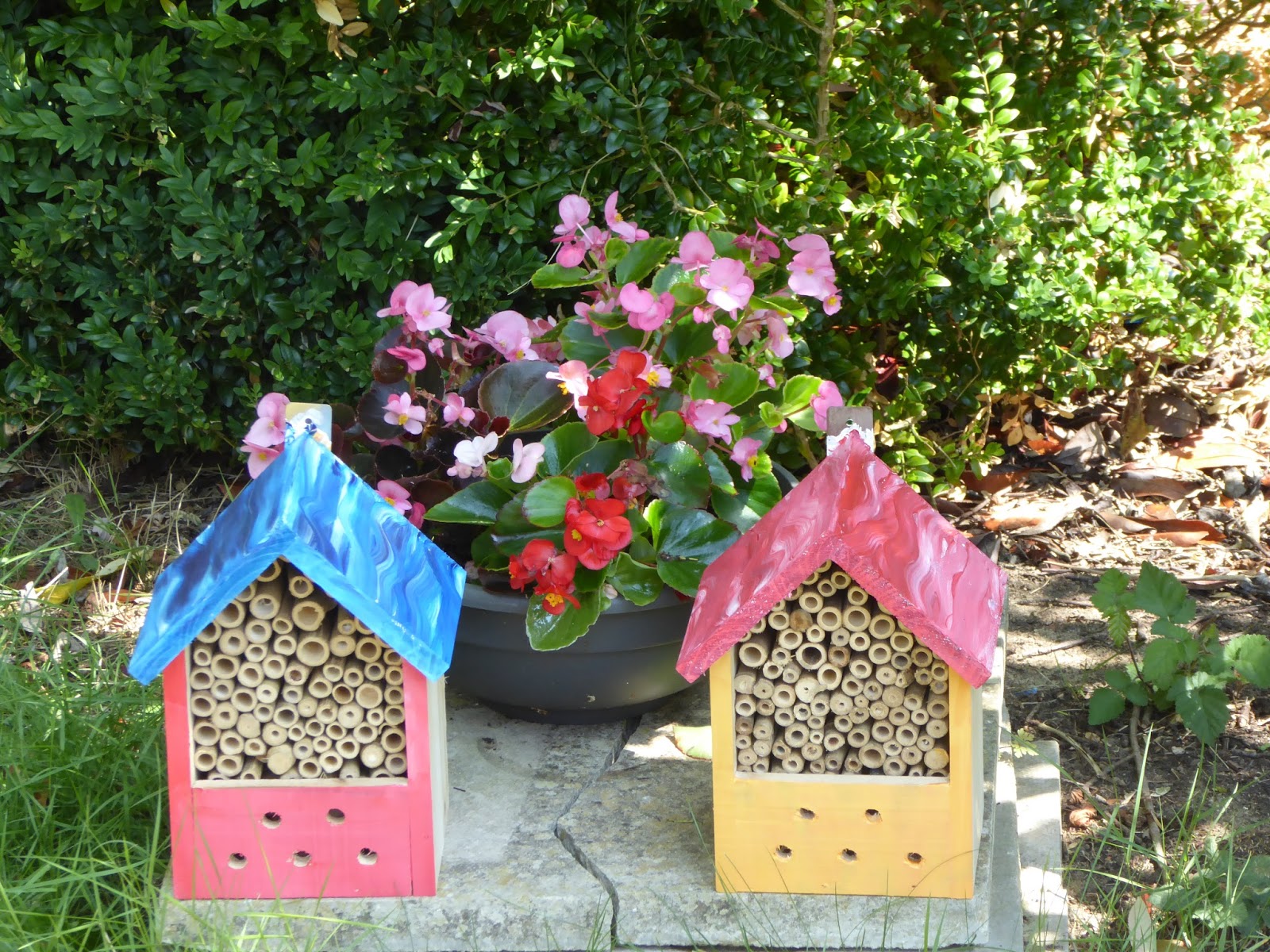 Wild and Wonderful: Des Res Insect Houses, Marmalade Hoverflies and a ...