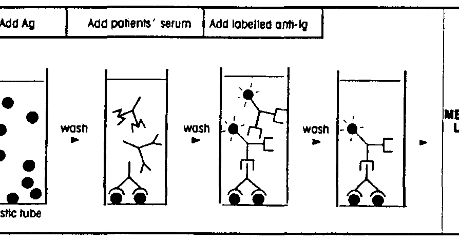 Journal and Conferences on Biomedical Engineering: Solid-phase Immuno ...