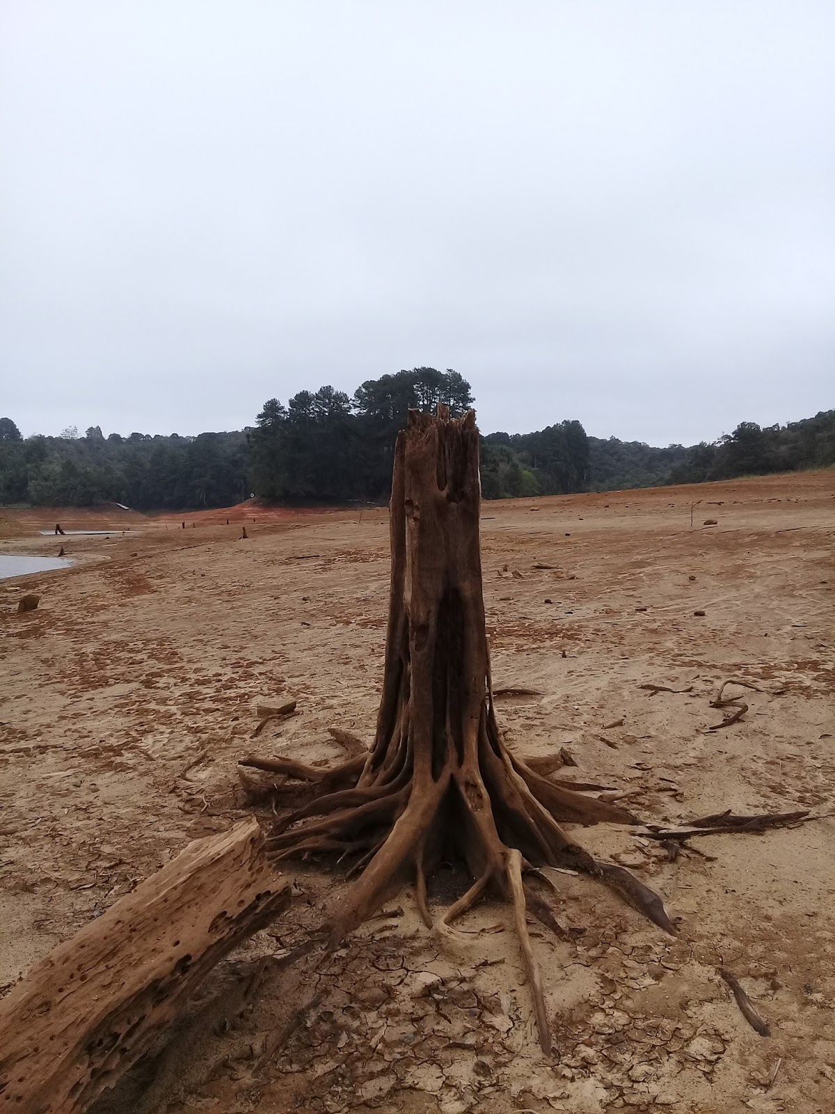 Prof. Fernando Bonato: Represa do Vossoroca - Tijucas do Sul - Paraná