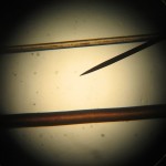 Forensics Project: History of Hair/Fiber Analysis