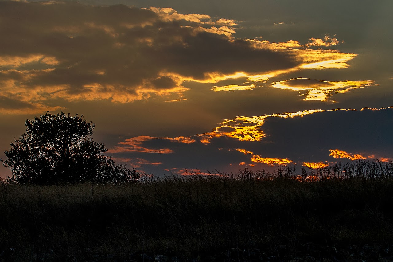 Dan Tiganila: Lacul Razim (Razelm)