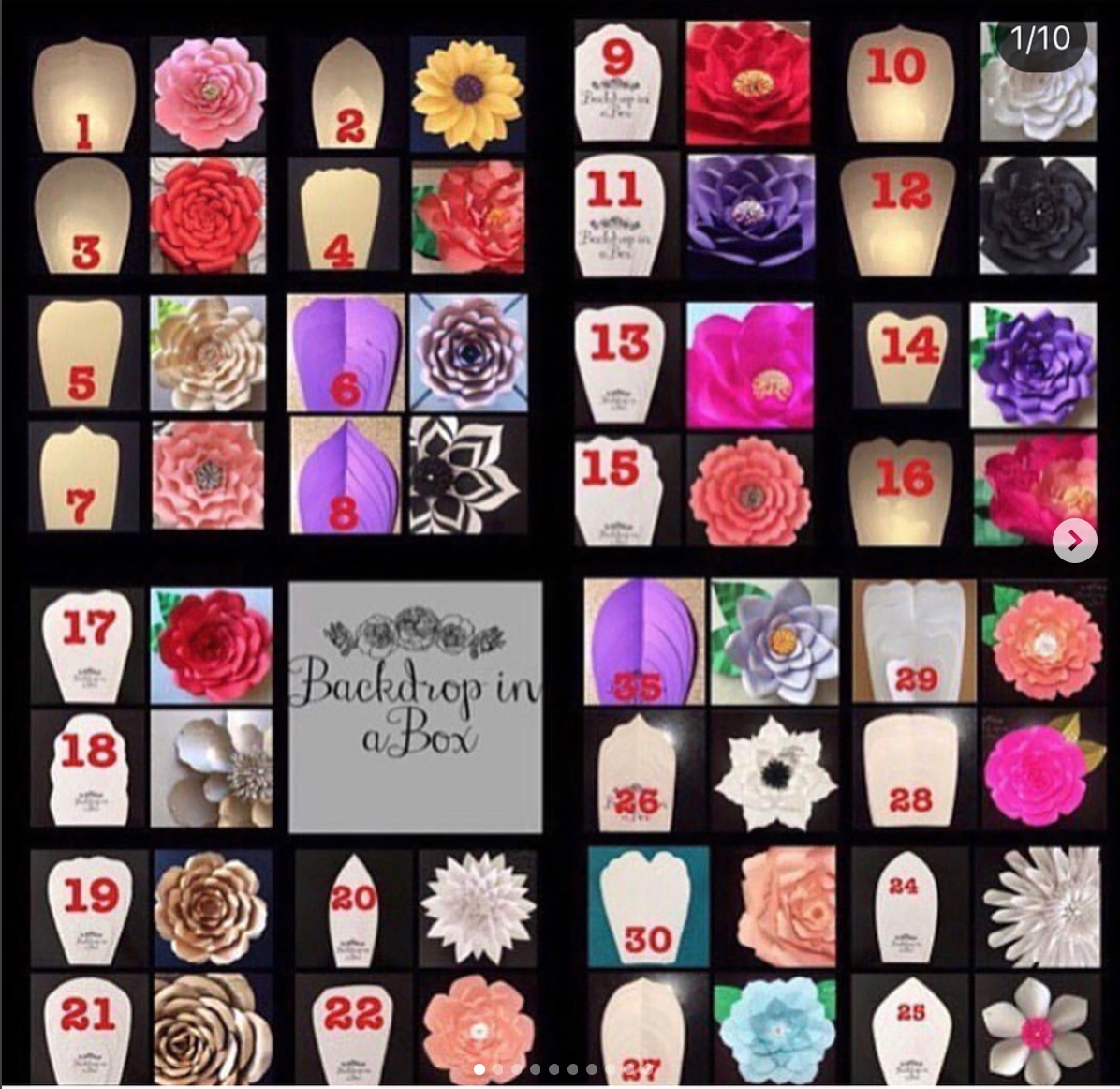 Artist of the Week: Backdrop In A Box"