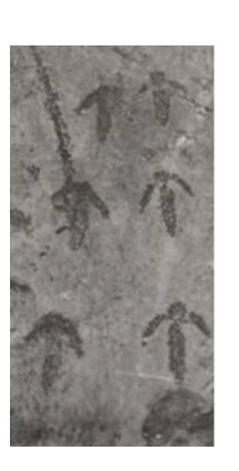 thefuzzysasquatch: The Other Megafaunal Extinction - More Aboriginal ...