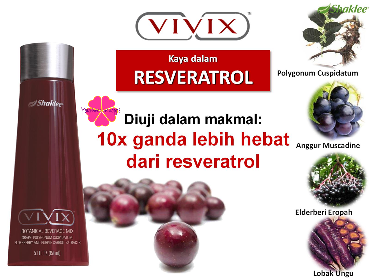 A WAHMpire's Diary: VIVIX SHAKLEE: REVOLUSI TERBAIK UNTUK PENJAGAAN ...
